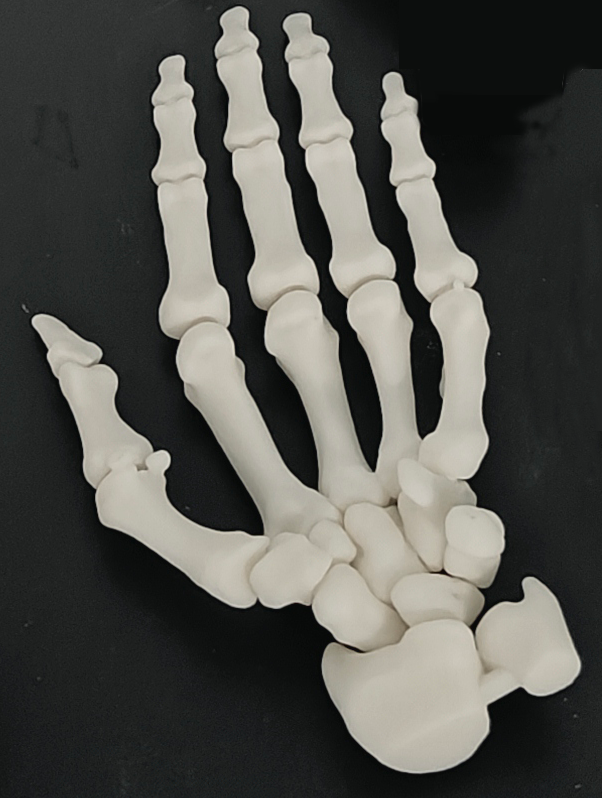 数字化骨科技术_学术园地_骨伤病研究所_院设机构_甘肃省中医药研究院_甘肃省中医院